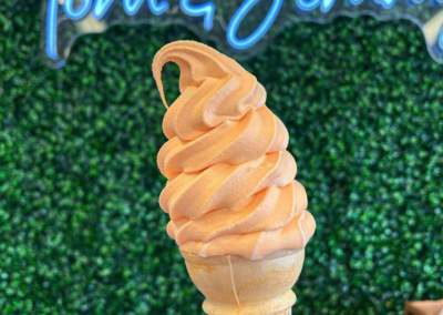 Tom and Jimmys Ice Cream | Tom and Jimmys ice cream